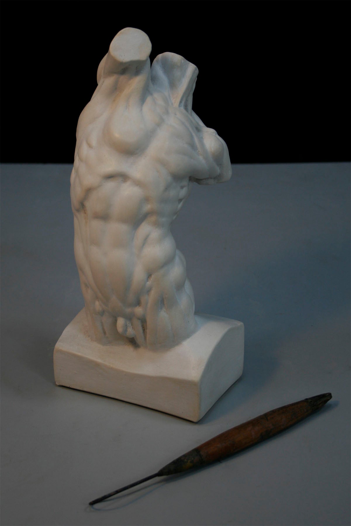 Male, Anatomical Cast Giveaway! – Caproni Collection