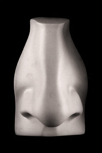 David Full-Size Detail Nose Sculpture for Sale, Item #146 – Caproni ...