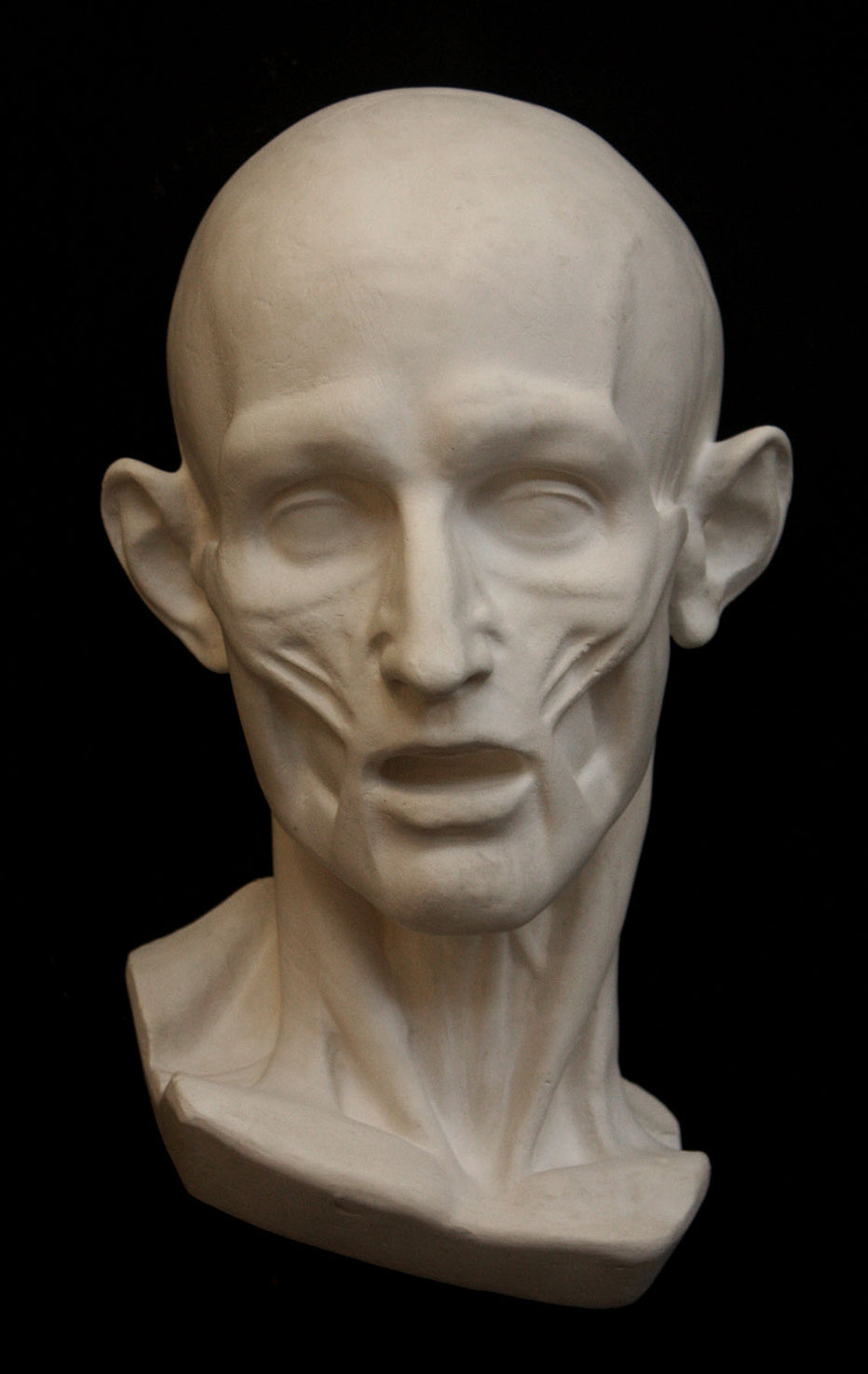 Anatomical Mask Sculpture for Sale, Item #154 | Caproni Collection